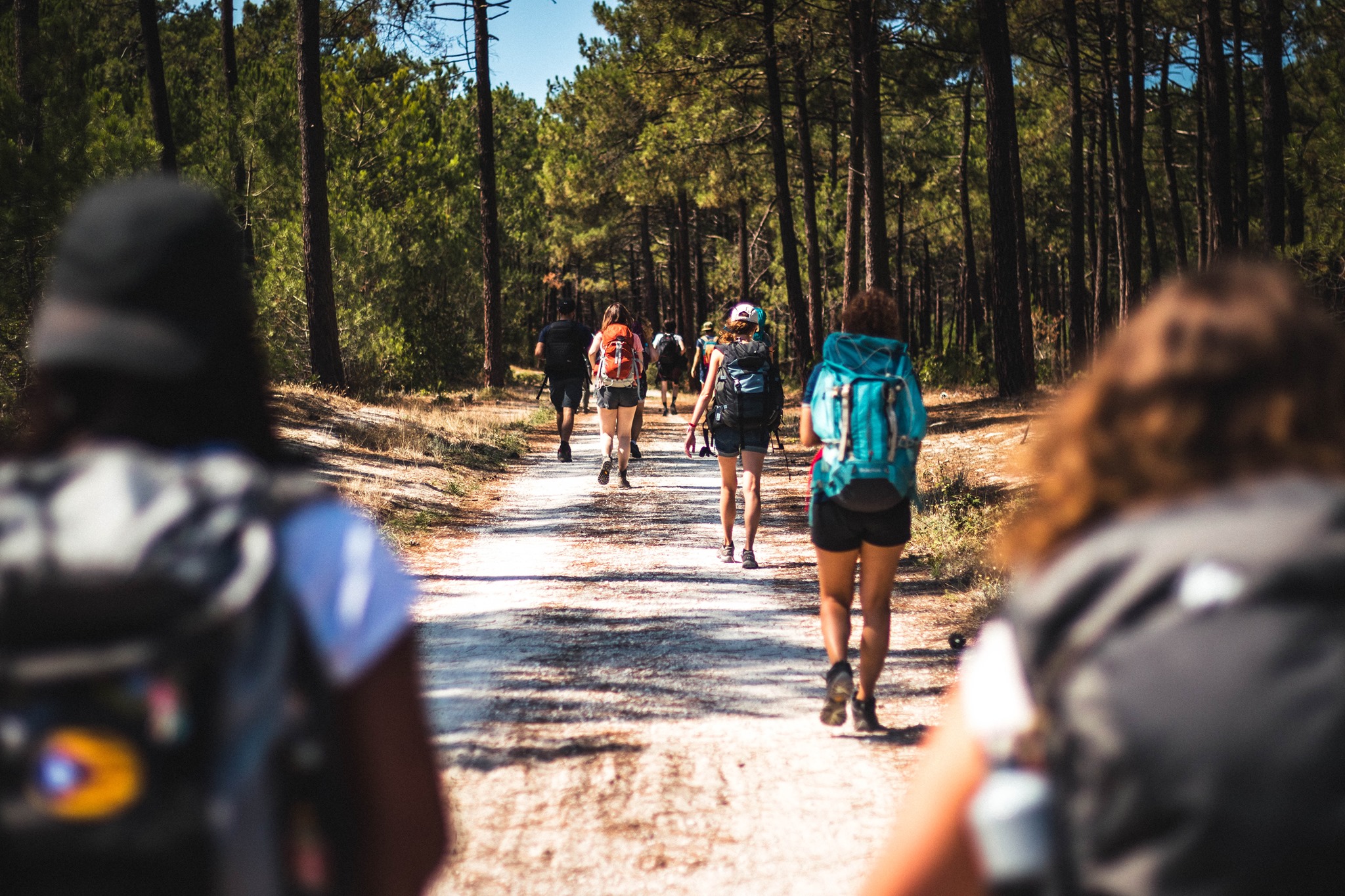 Randonnée à Bordeaux, 5 itinéraires dépaysants 🍃