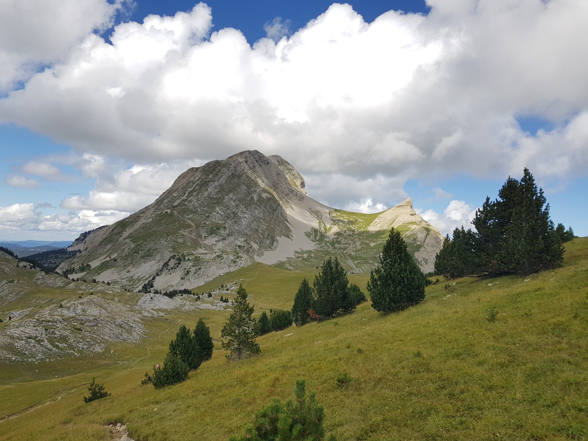Les Hauts Plateaux du Vercors par les crêtes et le Grand Veymont