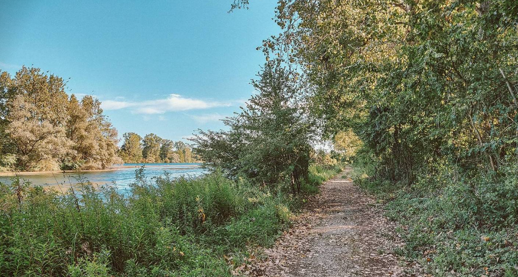 Randonnée à Strasbourg, notre sélection des meilleurs itinéraires