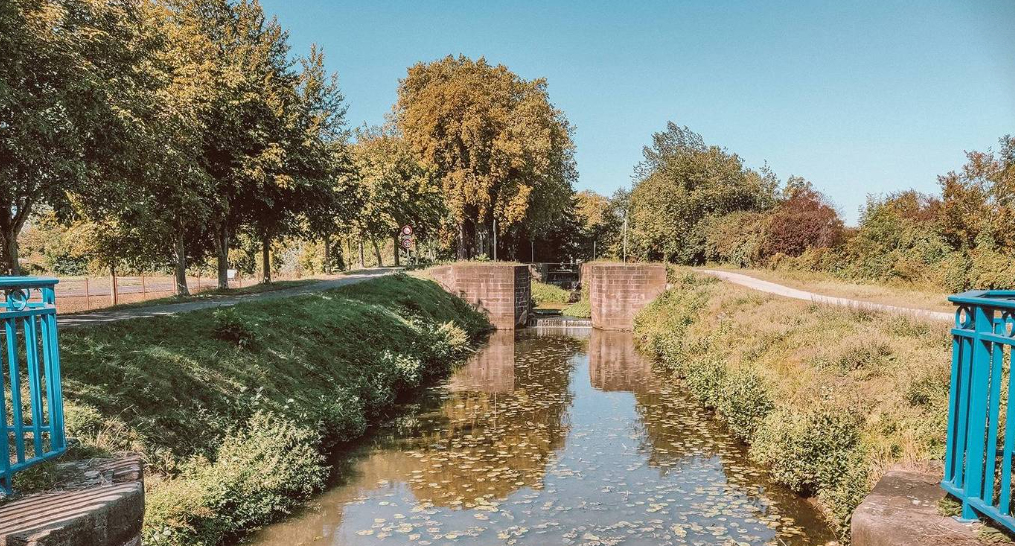 Randonnée à Strasbourg, notre sélection des meilleurs itinéraires