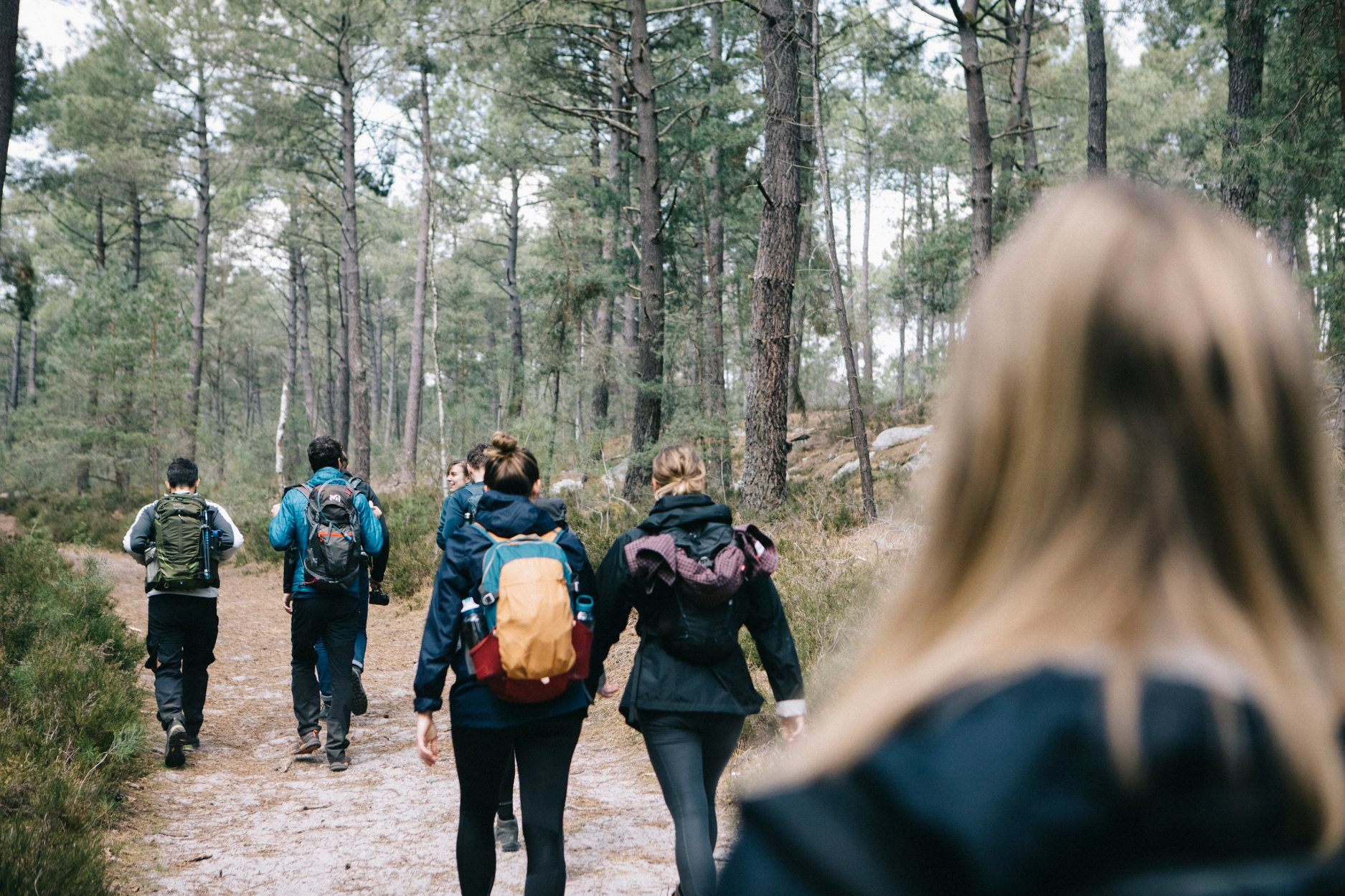 Randonnée dans l'Essonne : 5 itinéraires à découvrir
